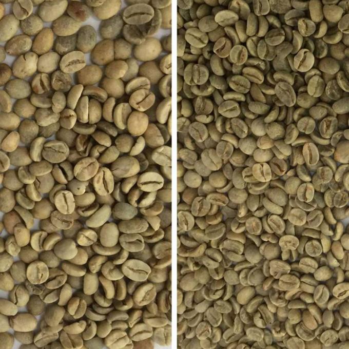 Six Chutes Coffee Bean Color Sorter Intelligent CCD Bean Color Sorter ... Six Chutes Coffee Bean Color Sorter Intelligent CCD Bean Color Sorter ...