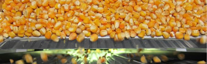 Smart Corn Colour Sorting Machine With Ventilation Cooling System